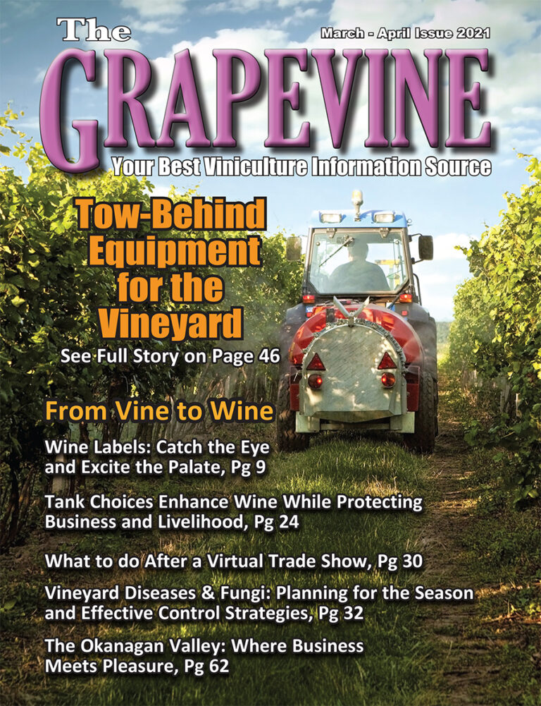 Home - The Grapevine Magazine