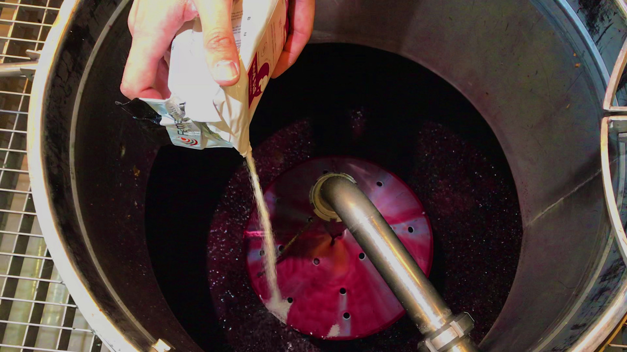 Yeast & Yeast Derivatives Become Easier to Use With More Flavorful ...