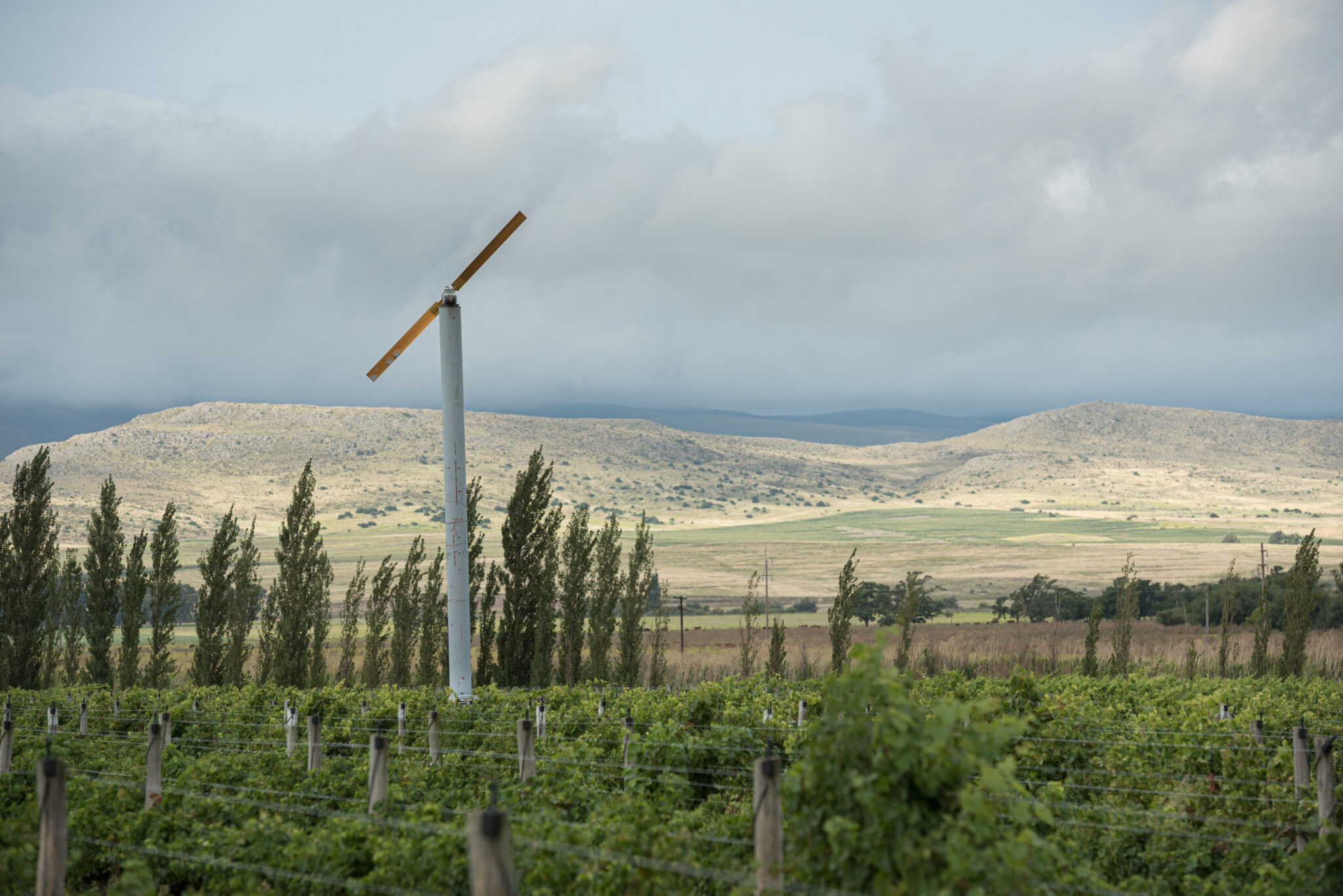 Frost Protection in the Vineyard: Environment, Geography and Science ...
