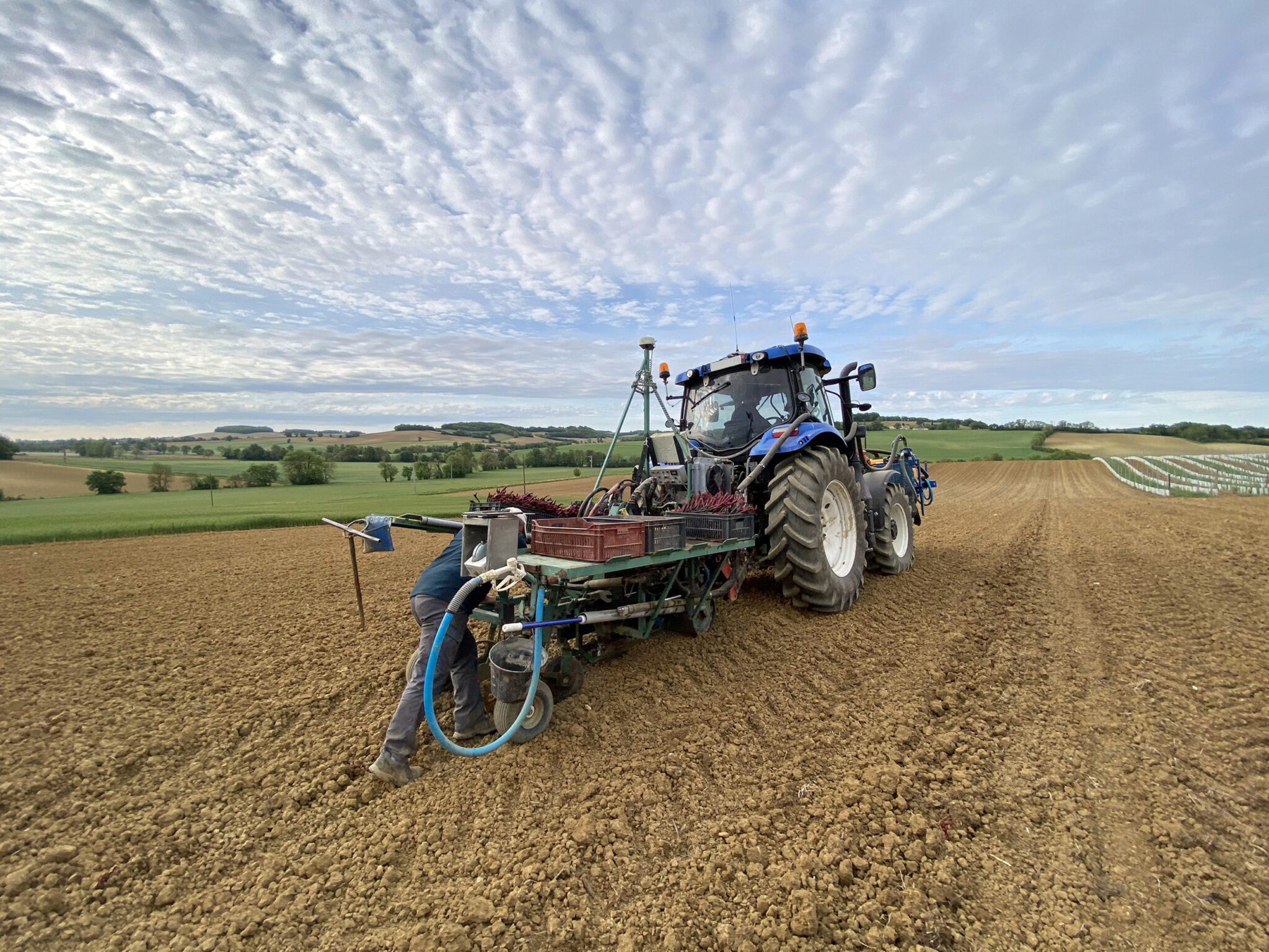 Should You Plant Your Next Vineyard Without North-South Rows? | The ...