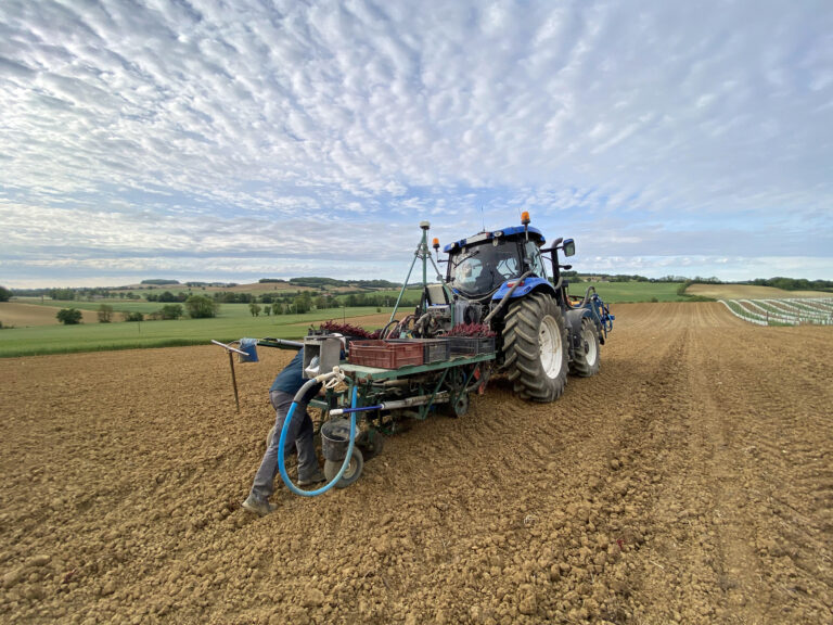 Should You Plant Your Next Vineyard Without North-South Rows? | The ...