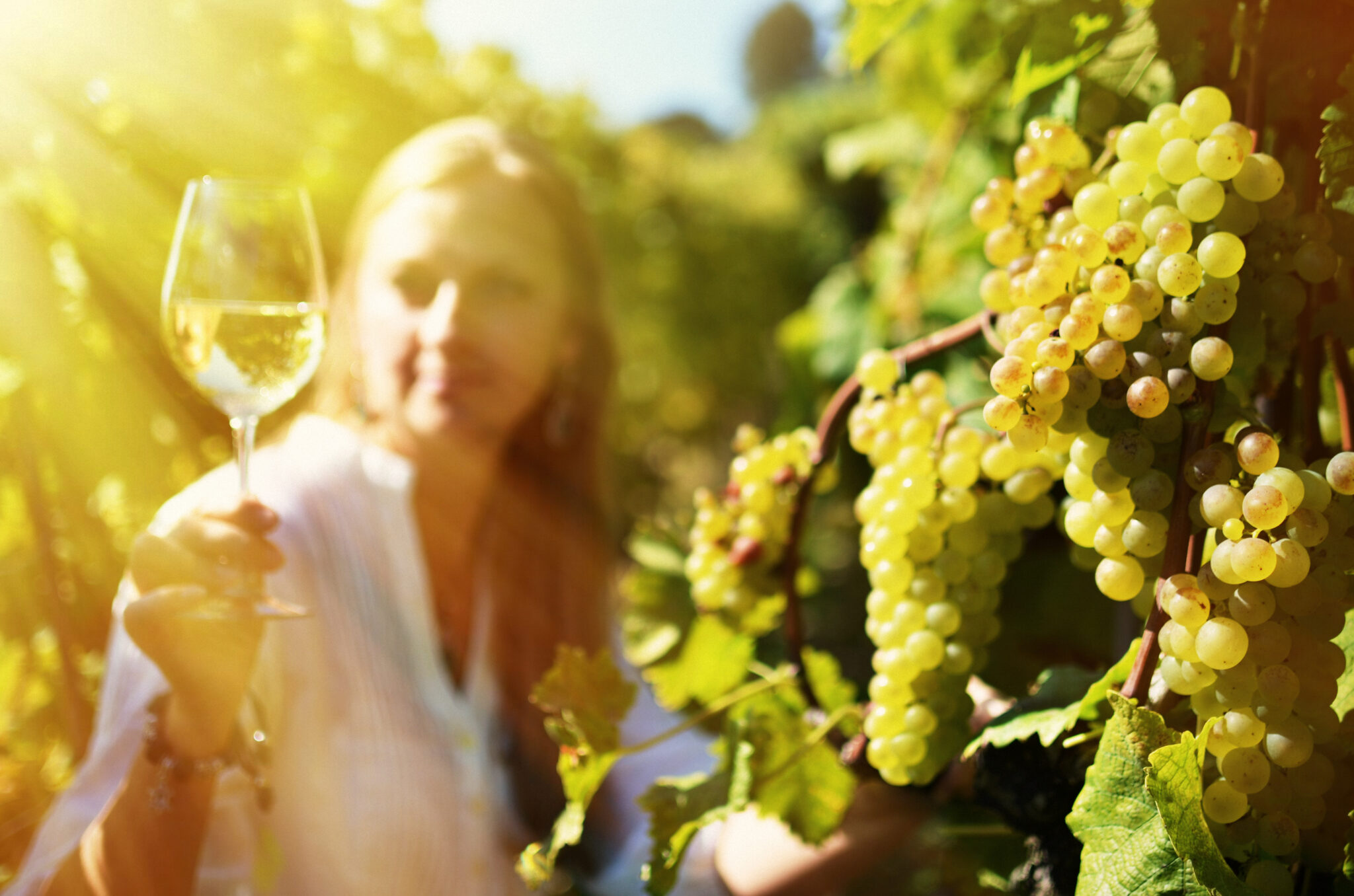 Is Wine Culture Nature’s Saving Grace? | The Grapevine Magazine