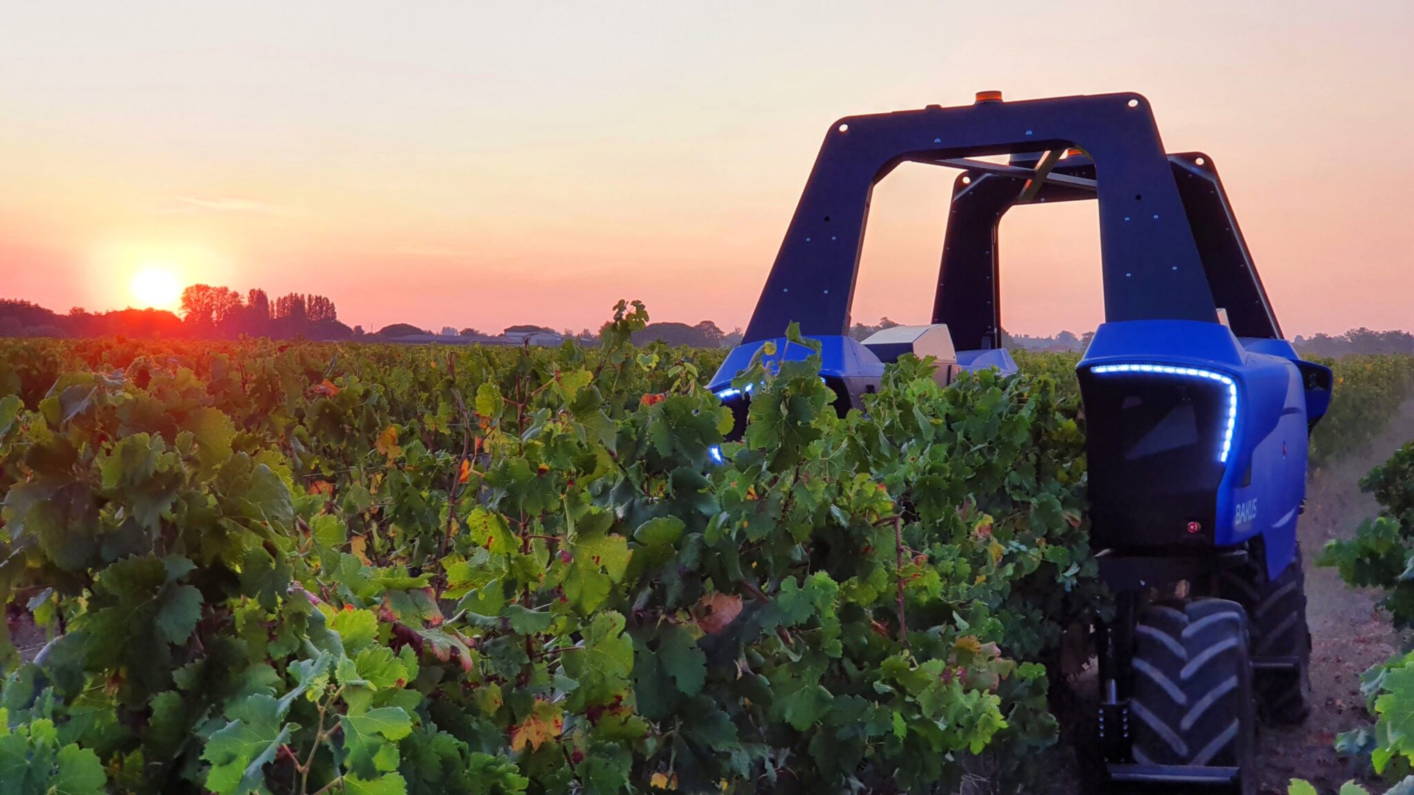 Robots in the Vineyard | The Grapevine Magazine