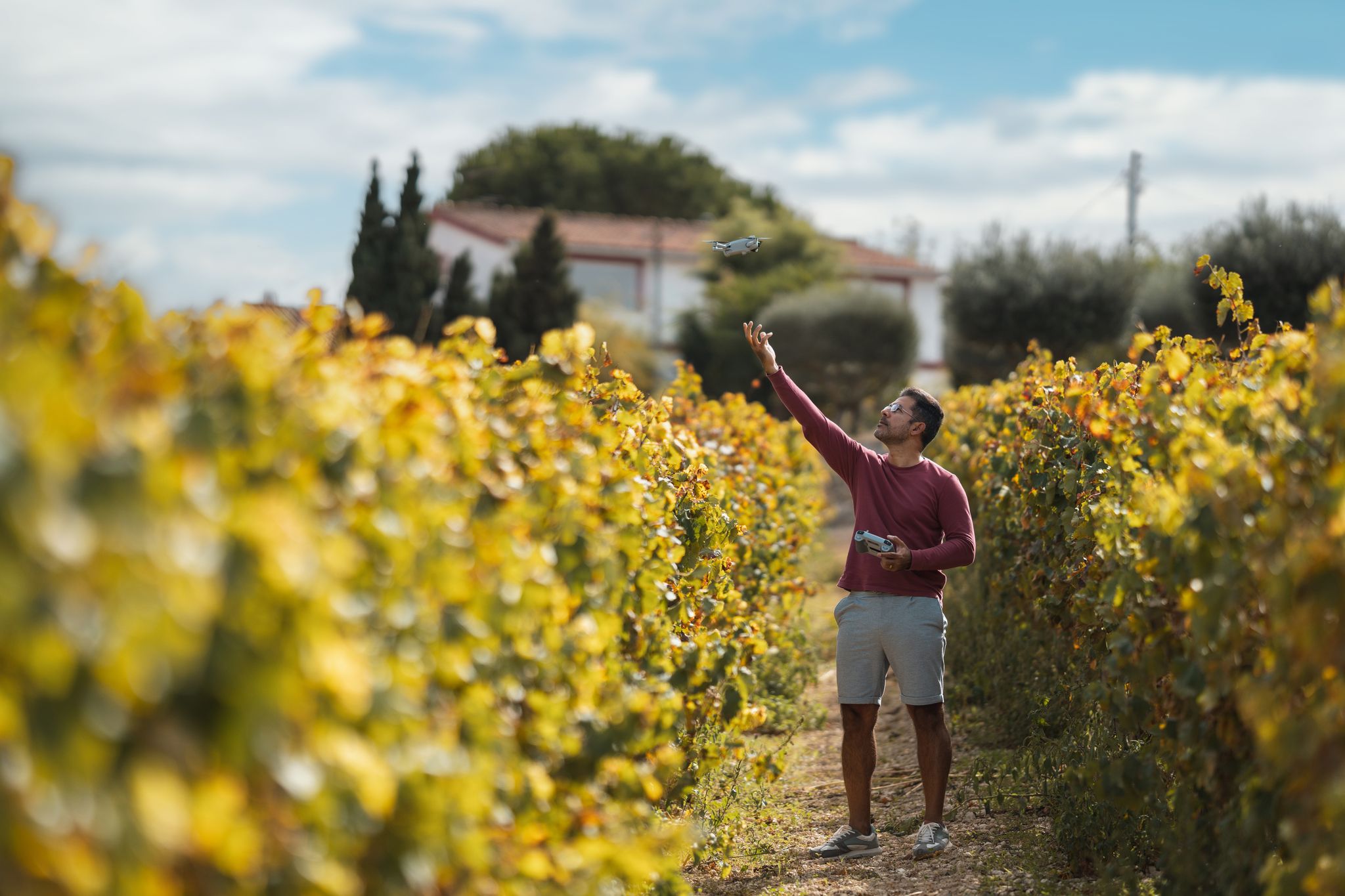 AgTech Advancements Powering Vineyard Innovations | The Grapevine Magazine
