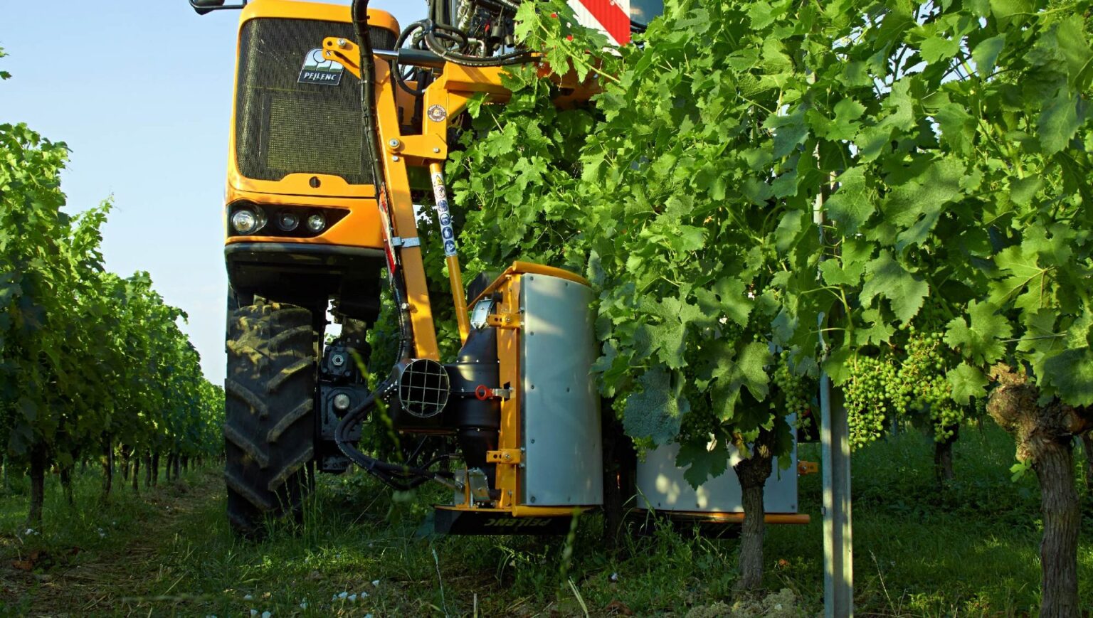 The Best Options for De-Leafers, Tillers, Sprayers, Mowers & Shredders ...