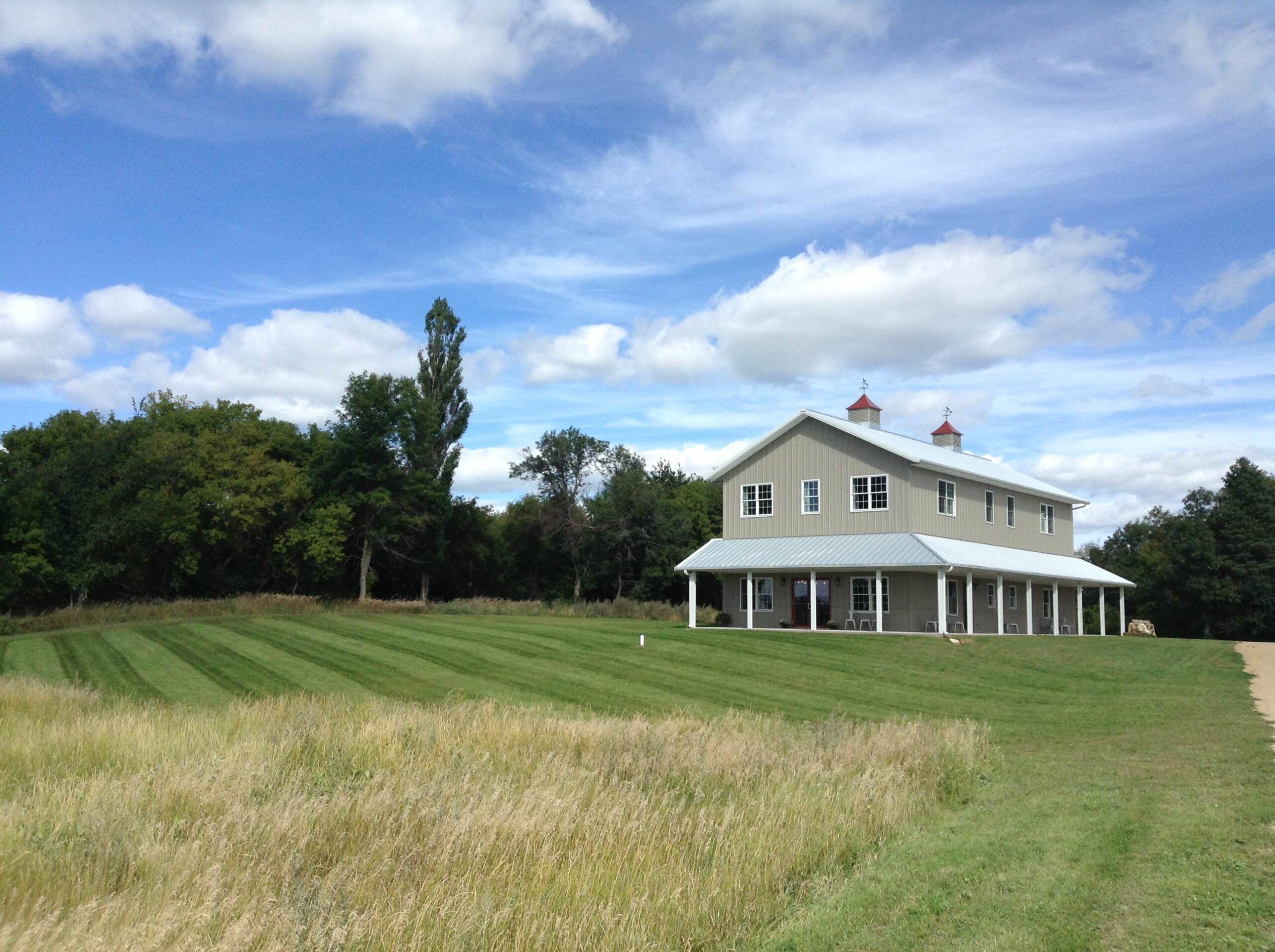 With the Wind Vineyard & Winery | The Grapevine Magazine