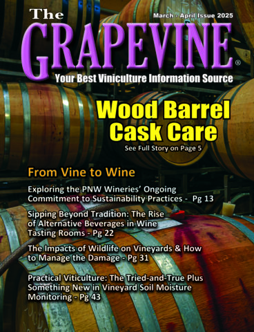 Home | The Grapevine Magazine